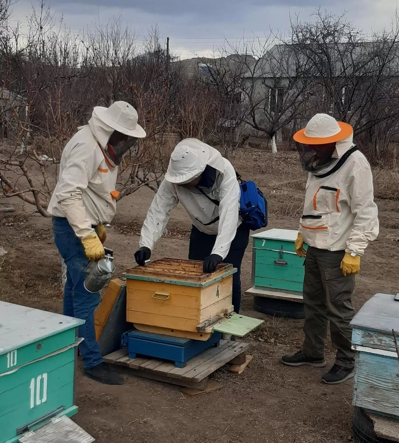 Beekeeping